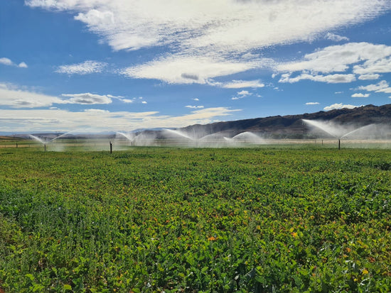 Irrigation Control - Remote Irrigation Control & Automation – Water to Grow